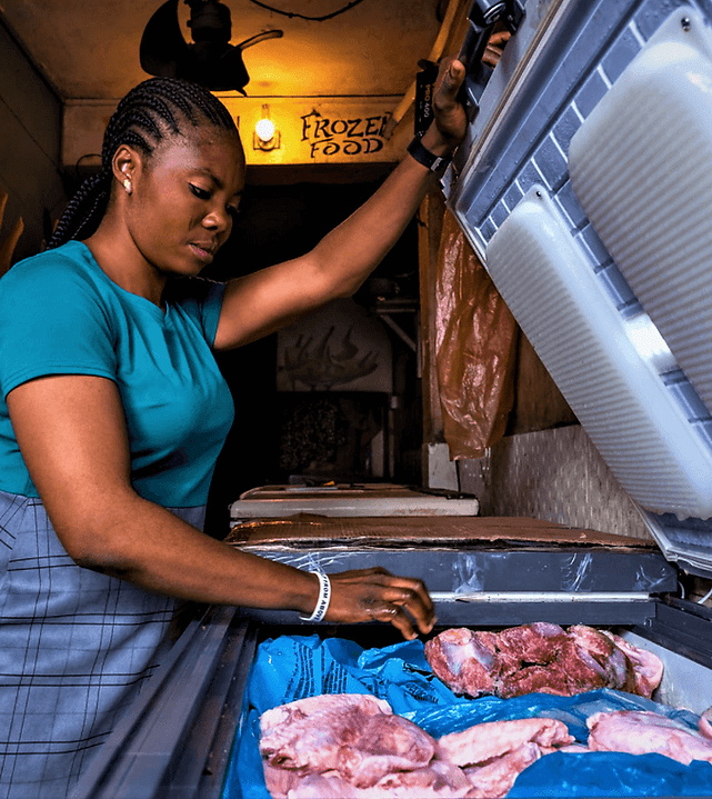 How to Keep Food Frozen for Days Without Electricity: The Koolboks ...